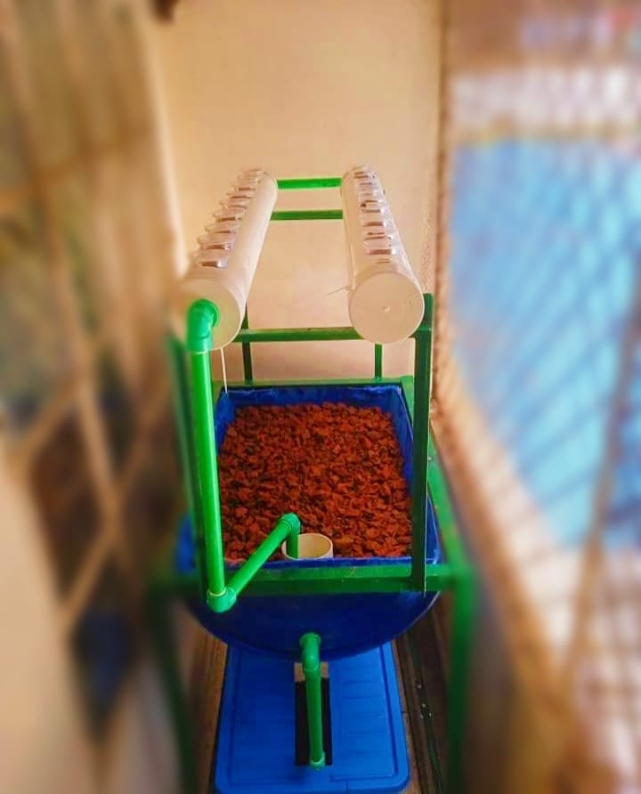 Hydroponics Balcony Farming – GreenCraft Agro