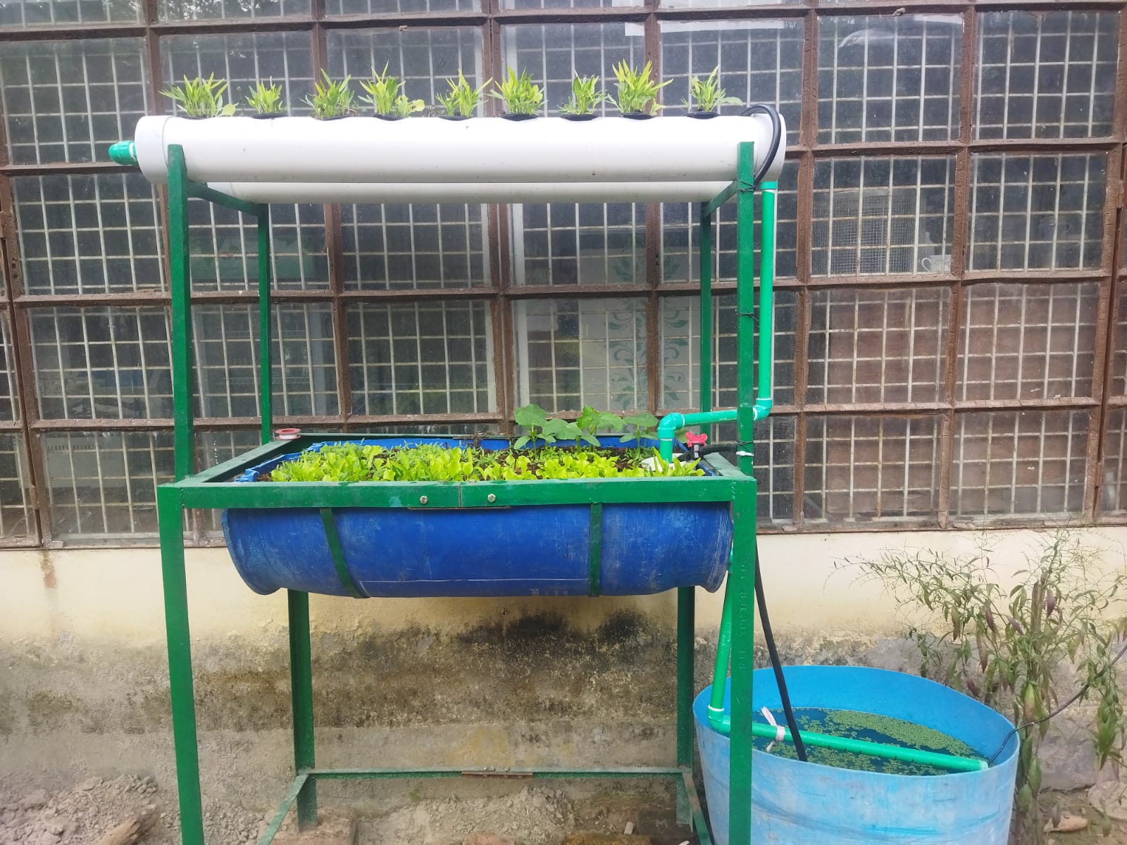 Hydroponics Balcony Farming – GreenCraft Agro